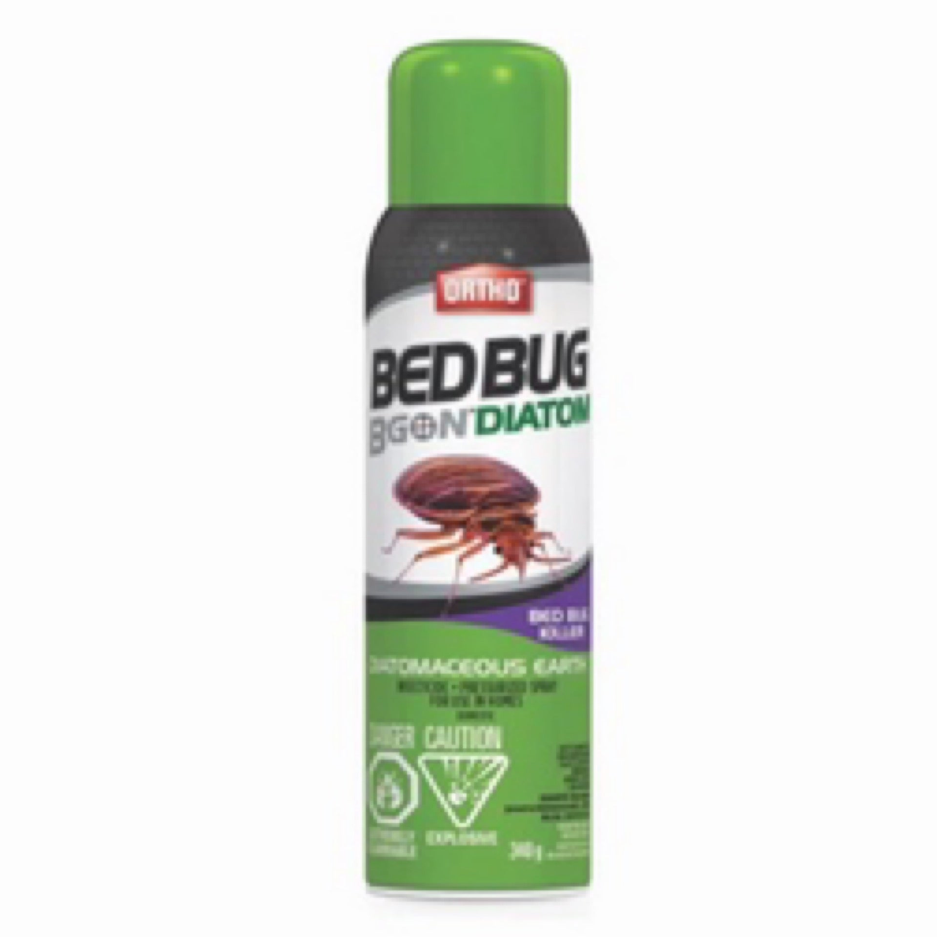 Ortho Bed Bug B Gon Diatom Aerosol 340G | Tollgate Gardens